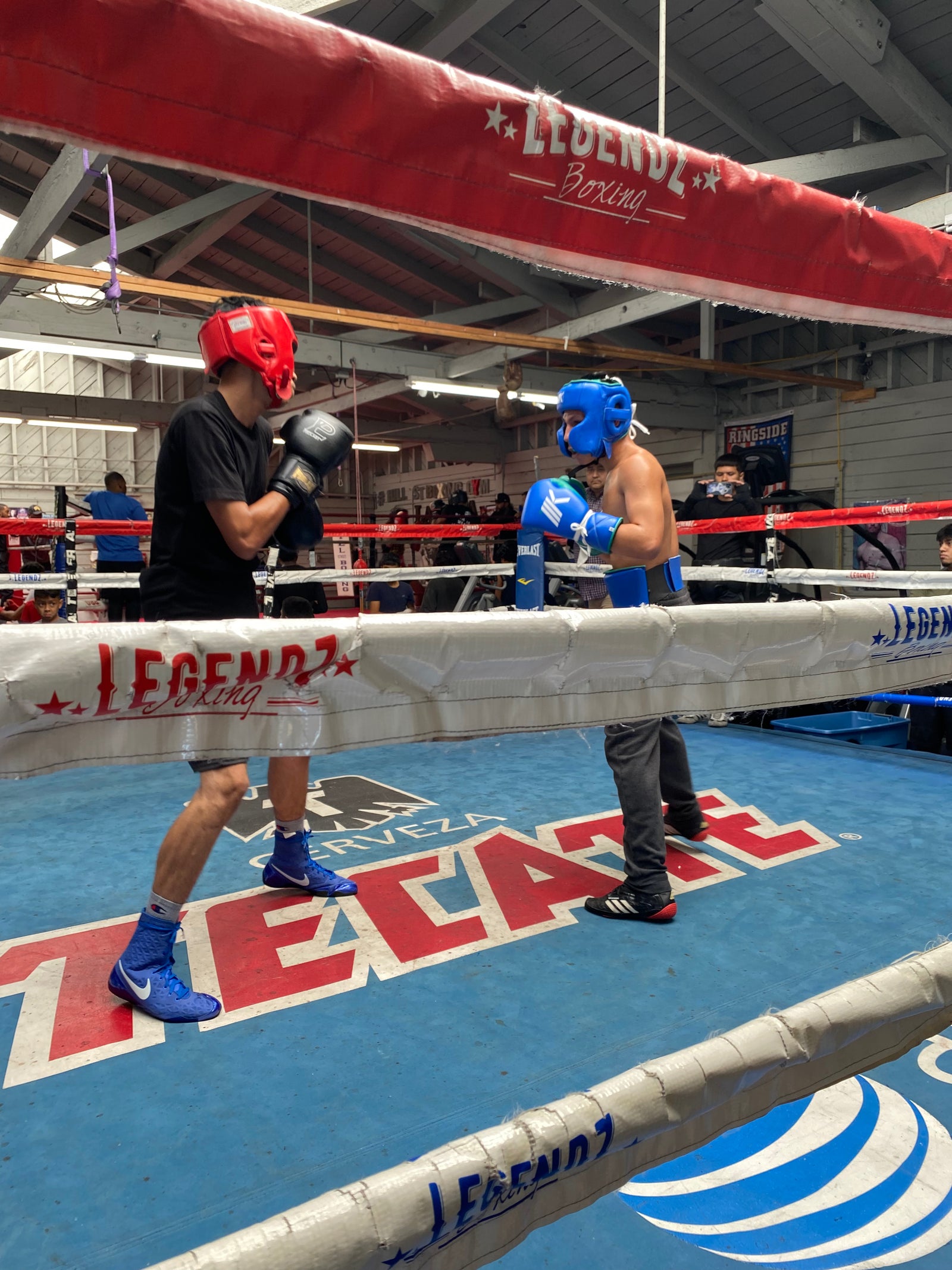 South LA Boxing Club | SOUTH LA BOXING CLUB